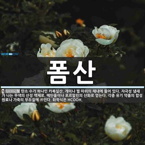 폼산 뜻 탄소 수가 하나인 카복실산 개미나 벌 따위의 체내에 들어 있다 자극성 냄새가 나는 무색