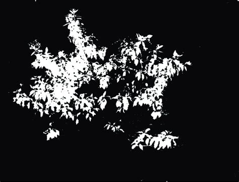 Morphological Processing 101371journalpone0202649g010 Download