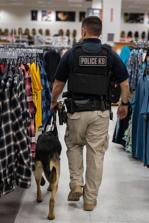 Range Safety Mcagcc At Mia Stapleton Blog