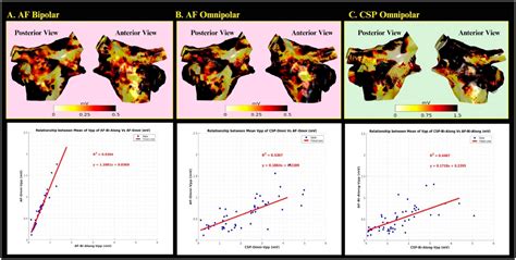 Po 06 114 Redefining Atrial Substrate Assessment In The Omnipolar