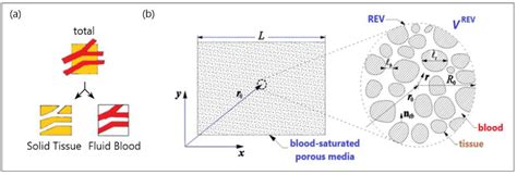 Computational Modeling Of Microwave Tumor Ablation
