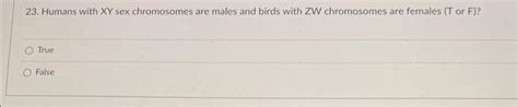 Solved 23 Humans With Xy Sex Chromosomes Are Males And