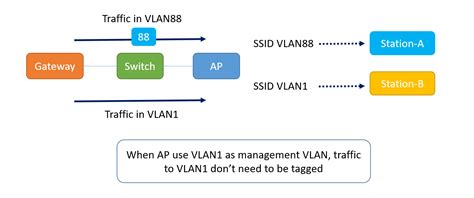 Change Management VLAN ID On WAX D Disrupts SSID In VLAN Zyxel Community