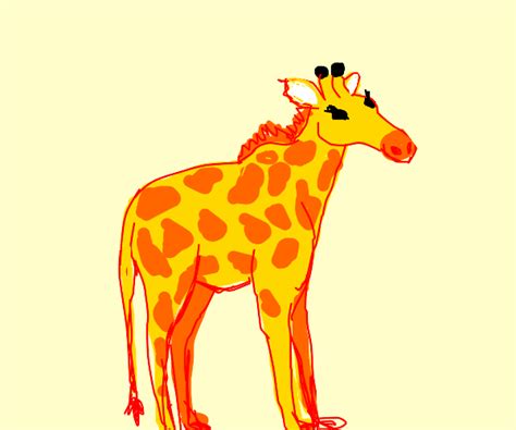 Giraffe With Short Neck Drawception