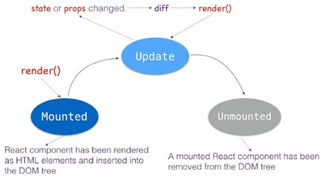 React Js Reactjs Lifecycle