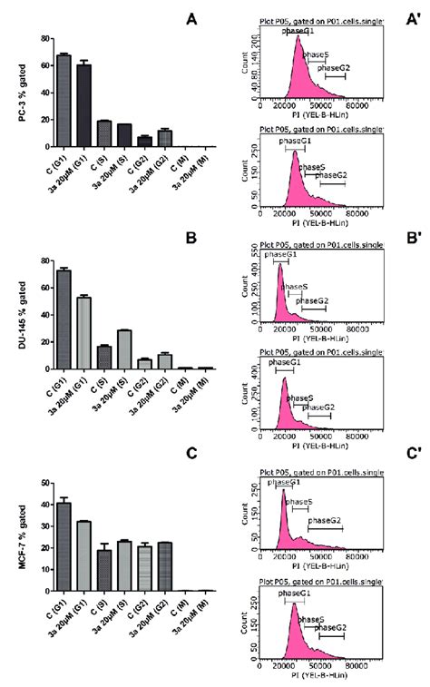 The Effect Of Compound 3a On Cell Cycle Distribution Dna Content
