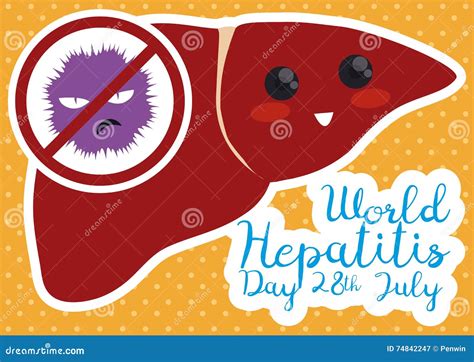 Hepatitis A B C Liver Disease Human Organ Virus Medicine Vector