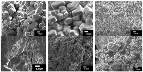 Potential Applications Of Microencapsulated Essential Oil Components In Mosquito Repellent
