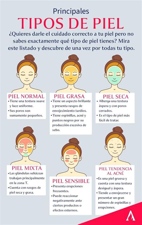Tipos De Piel Características Y Cuidados Aprende Institute Equipos