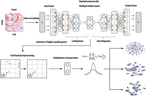 Iterative Clustering Algorithm G Desc E And Pan Cancer Key Gene Analysis Based On Single Cell