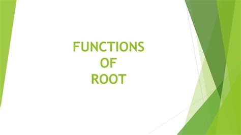 ROOTS Basics Function Various Parts Maturation Root Hairs Elongation Cell Division
