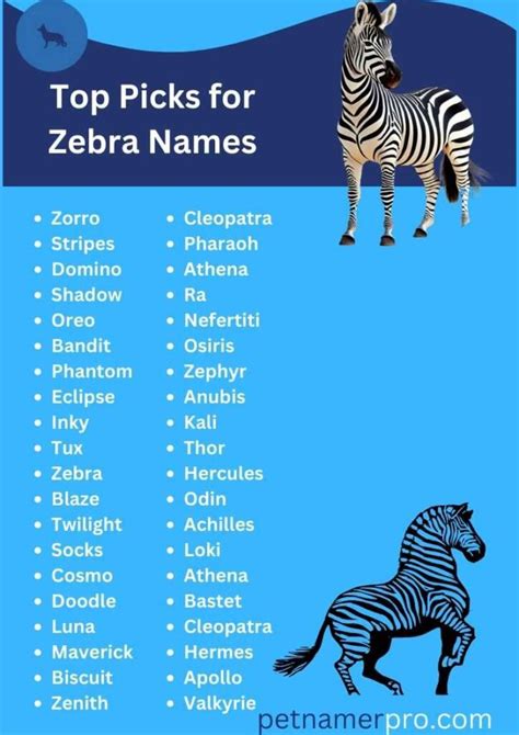 350 Best Zebra Names With Meanings And Generator