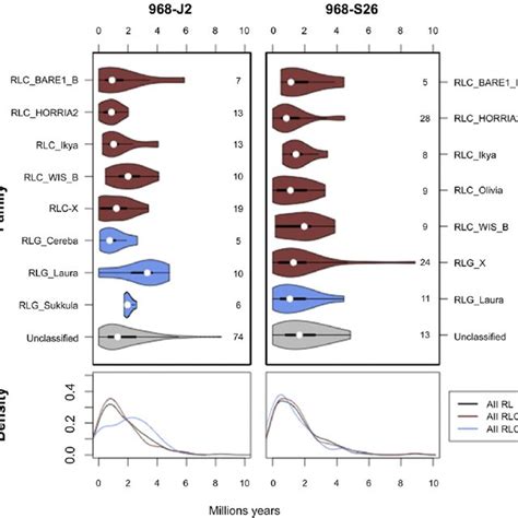 Age Distribution Of Long Terminal Repeat Retrotransposon Ltr Rt
