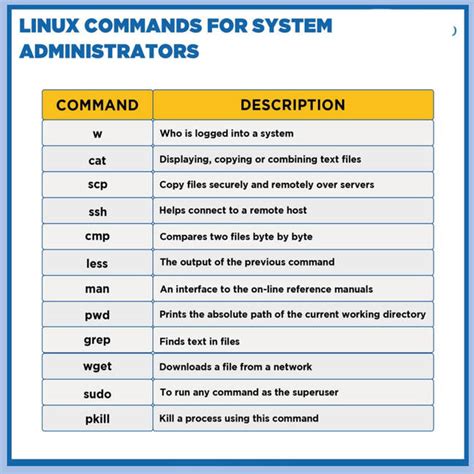 Mastering Linux Administration Top 50 Commands Every Administrator Should Know Devops Support