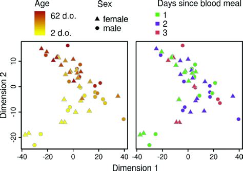 Gene Expression Clusters Primarily By Age Principal Component Analysis Download Scientific