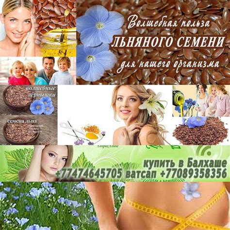 Волшебная польза льняного семени для нашего организма Удивительно что такое маленькое по размеру