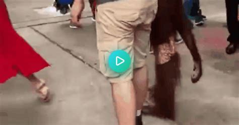 Monkey Salute Album On Imgur