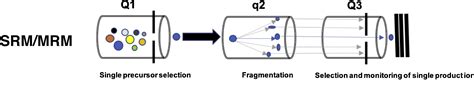 Srm Mrm Quantitative Proteomics Services Mtoz Biolabs Srm Mrm Quantitative Proteomics Services Mtoz Biolabs