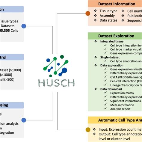 statistics of husch datasets husch includes 185 high quality
