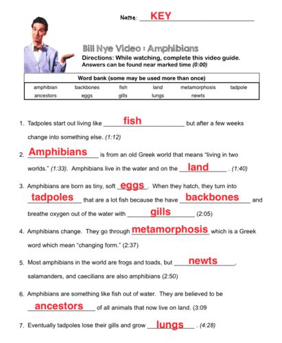 Bill Nye The Science Guy Fossils Worksheet The Best Worksheets Free