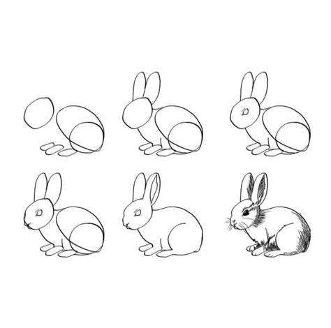 How To Draw A Rabbit Silhouette At Caleb Martin Blog