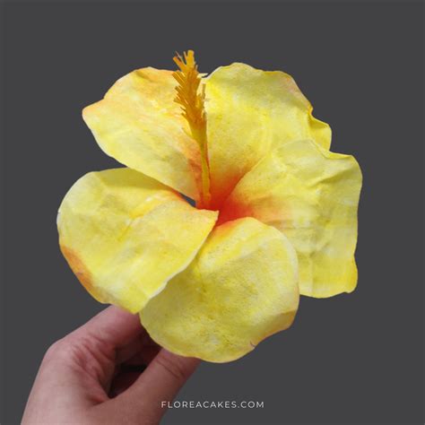 How To Make Wafer Paper Hibiscus 🌺 Florea Cakes
