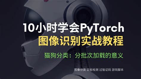 Pytorch图像识别教程【第16集】 猫狗分类：分批加载的意义 Pytorch 深度学习 卷积神经网络 Python Youtube