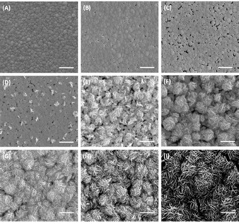 Amorphous Carbon Sem