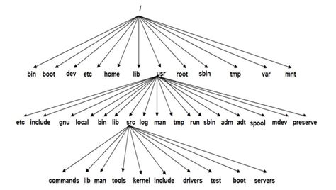 Estructura De Directorios Del So Minix Download Scientific Diagram