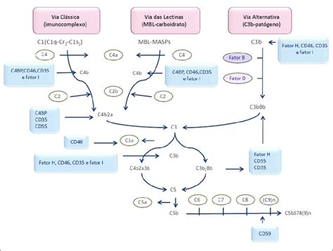Via Alterna Del Complemento Ajore