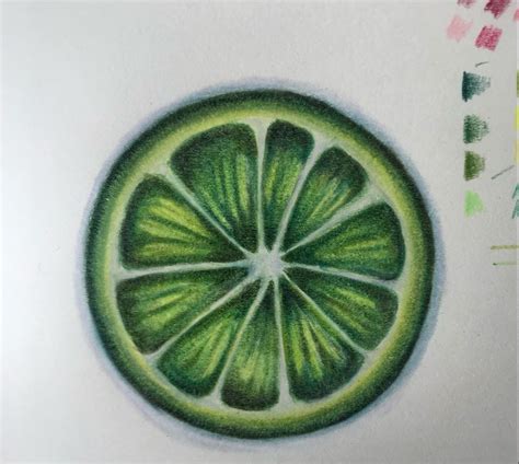 Realistic Lime Drawing