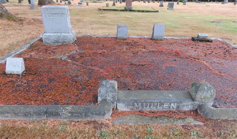 Thomas James Mullen 1853 1913 Mémorial Find A Grave