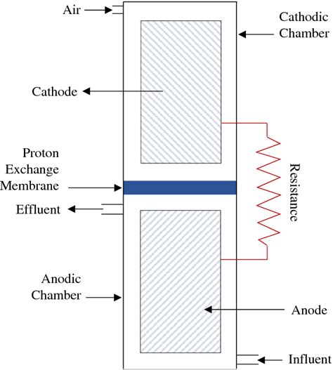 Schematic Of A Typical Dual Chamber Upflow Mfc Reactor Download Scientific Diagram