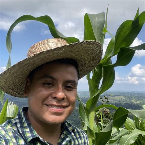¡increíble Calabaza Gigante ¡miren Esta Calabaza Gigante En El Video Se Puede Observar Cómo