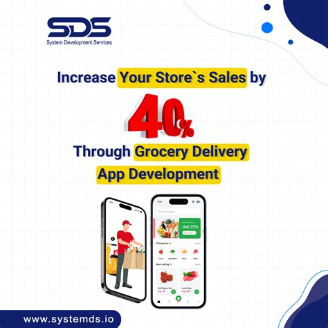 System Development Services