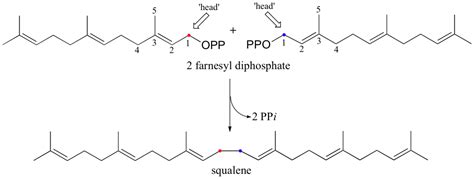 Custom MemPro Services For Squalene Phytoene Synthase Creative Biostructure