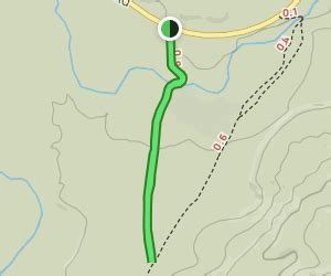 Lamar River Stock Cutoff Trail 25 Reviews Map Montana Alltrails