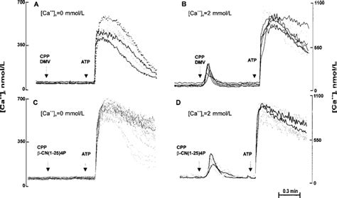 Effect Of Casein Phosphopeptides Cpp And Atp Administration On Download Scientific Diagram