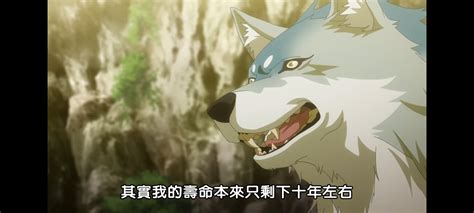 Imgur The Magic Of The Internet