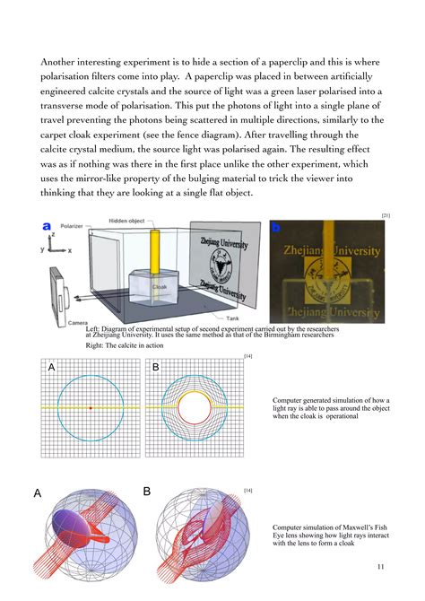 My Extended Project Qualification EPQ PDF