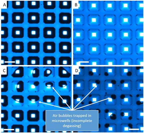 Video A High Throughput Platform For Culture And 3d Imaging Of Organoids