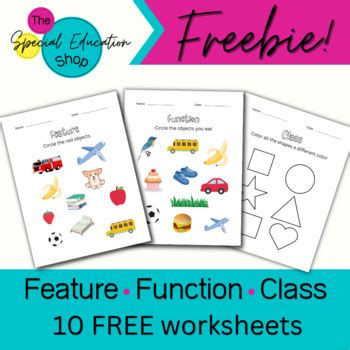 Special Education ABA Feature Function Class Activity LRFFC