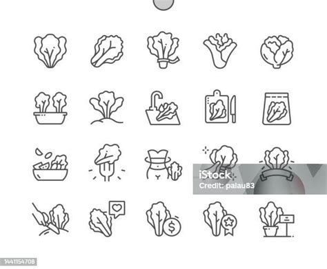 양상추 야채 요리 조리법 및 가격 식품점 슈퍼마켓 카페 메뉴 픽셀 완벽한 벡터 얇은 선 아이콘입니다 간단한 최소 픽토그램 상추에 대한 스톡 벡터 아트 및 기타 이미지