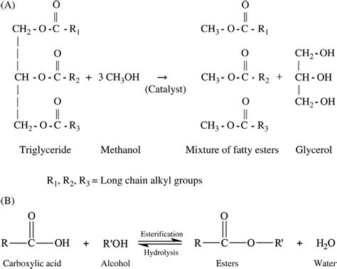 5 A Transesterification Reaction In A Biodiesel Production Process
