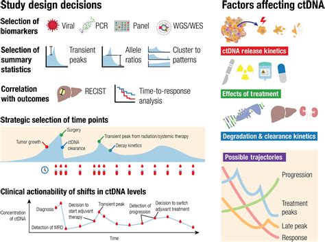 Elevating Breast Cancer Management With Ctdna Monitoring Fusion Chat