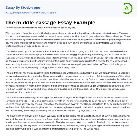The Middle Passage Essay Example