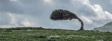 Work Life Balance Is Preventative Care