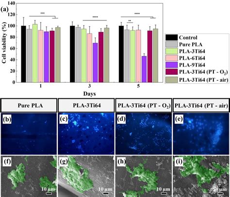 Cell Viability And Proliferation Study Mtt Assay Analysis A Dapi