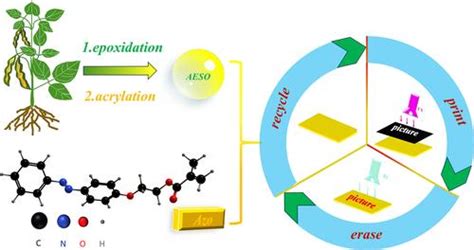 偶氮苯改性 Aeso 光聚合涂层的信息可逆存储性能设计与研究 Journal Of Applied Polymer Science X Mol